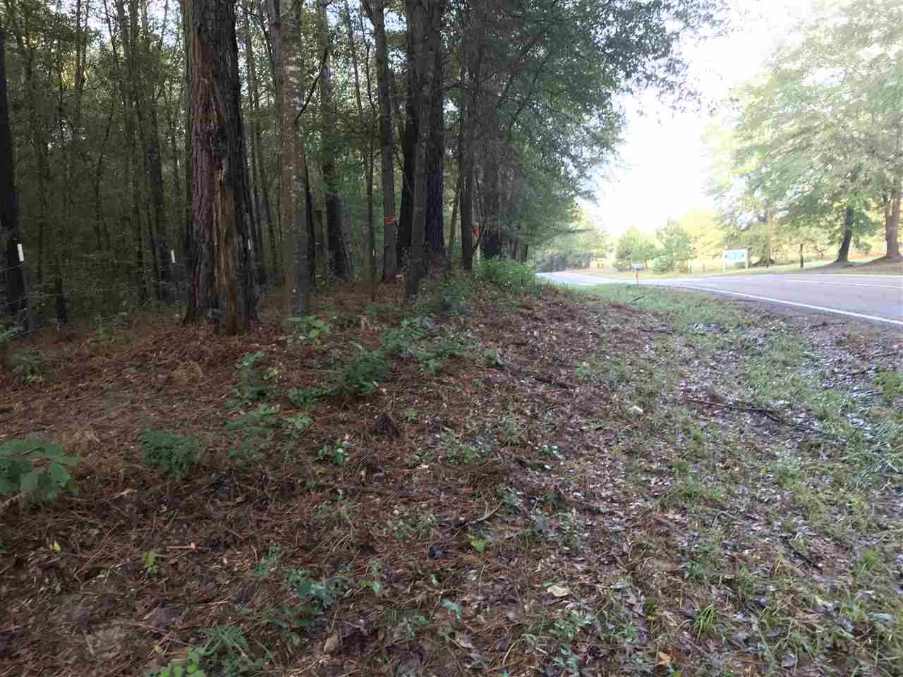 FM 1649, Diana, TX 75640 - See Est. Value, Schools & More