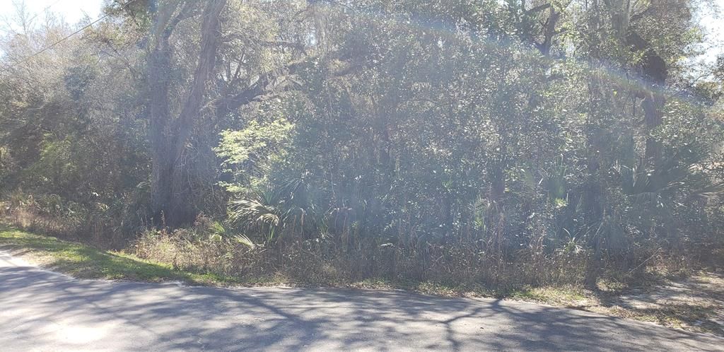 39 NE 792nd St, Old Town, FL 32680 - See Est. Value, Schools & More