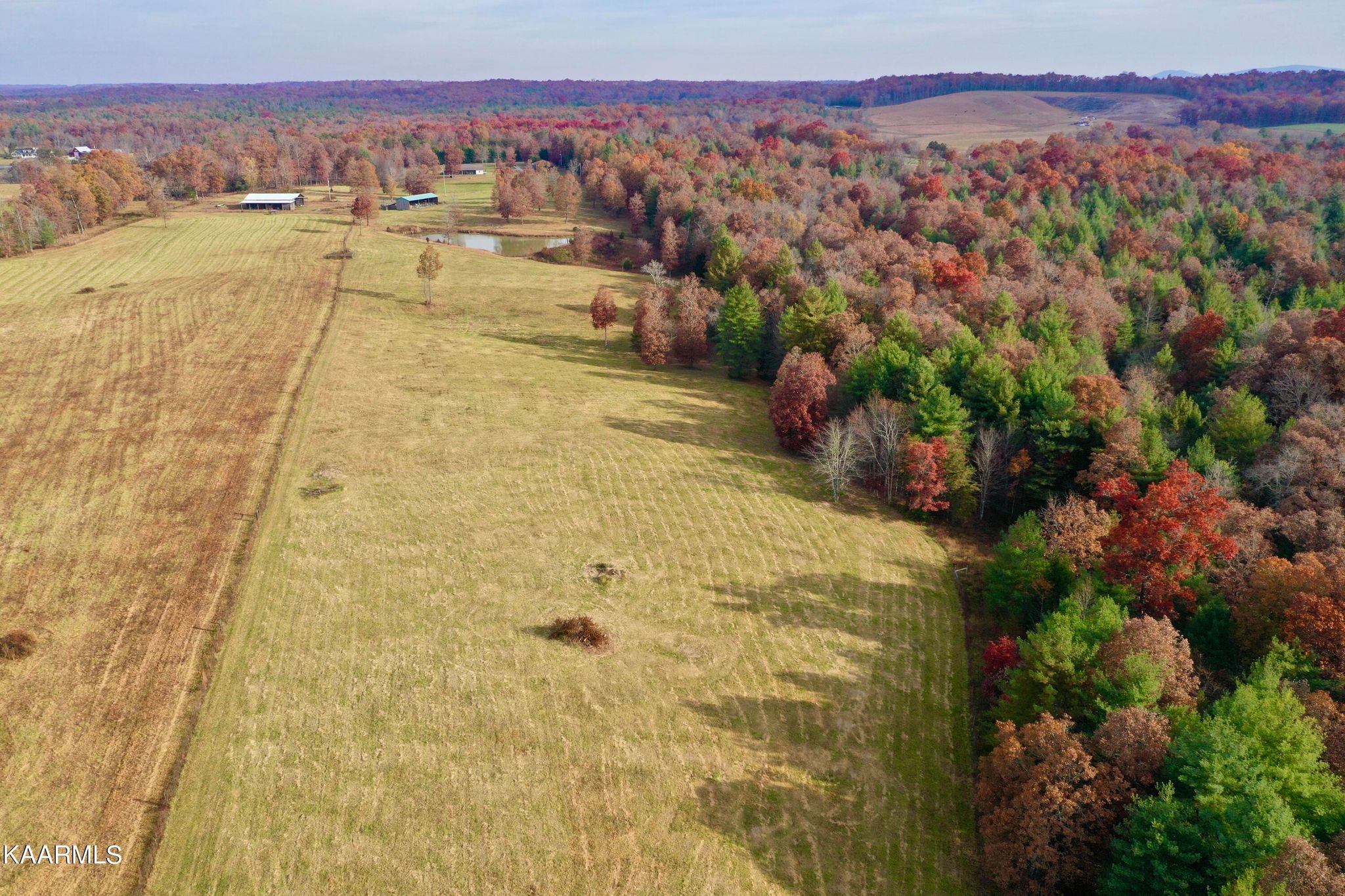 525 Island Ford Rd, Lancing, TN 37770 - See Est. Value, Schools & More