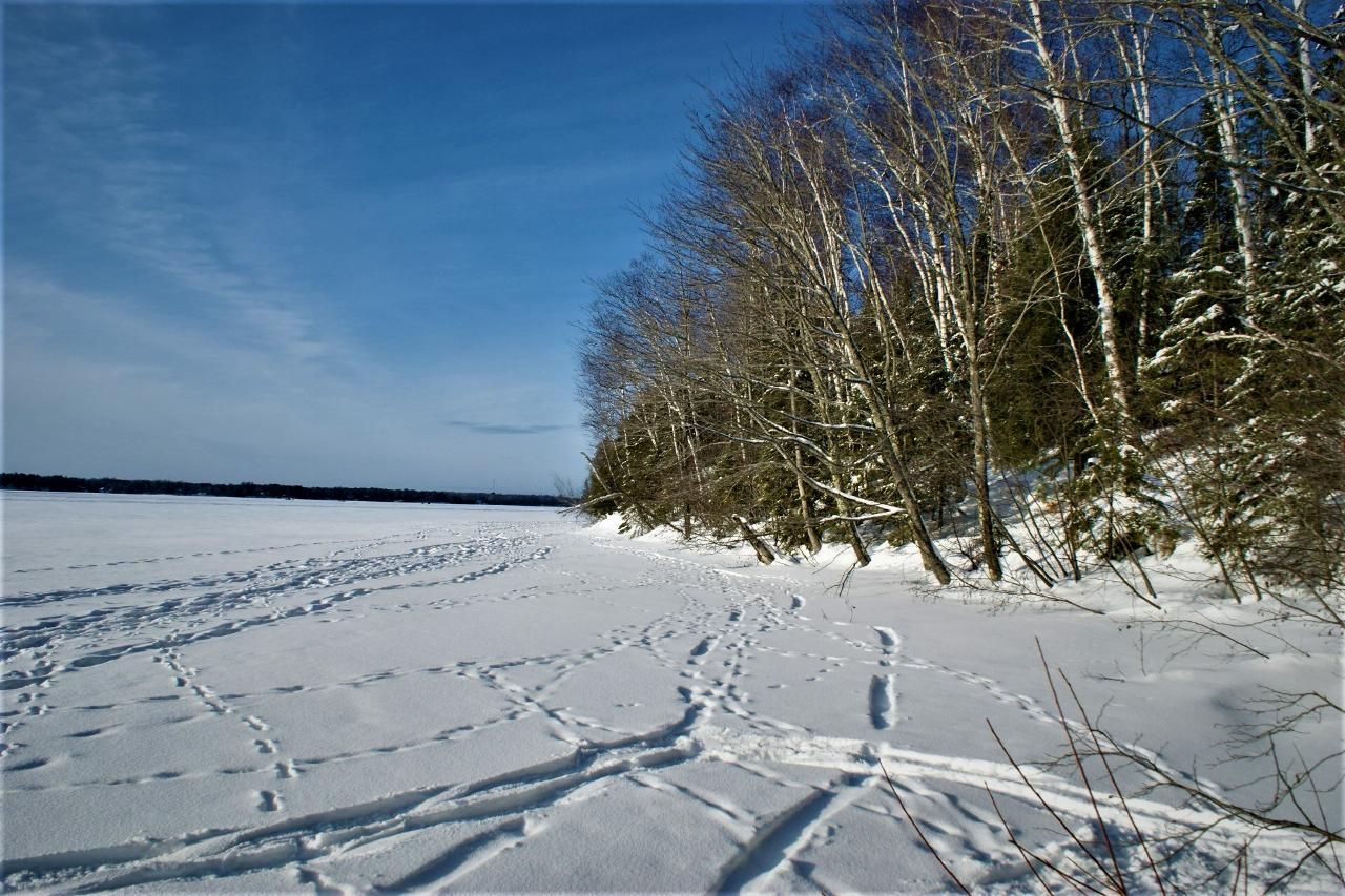 Lot 6&5 Eagle Tree Dr, Presque Isle, WI 54557 | Trulia