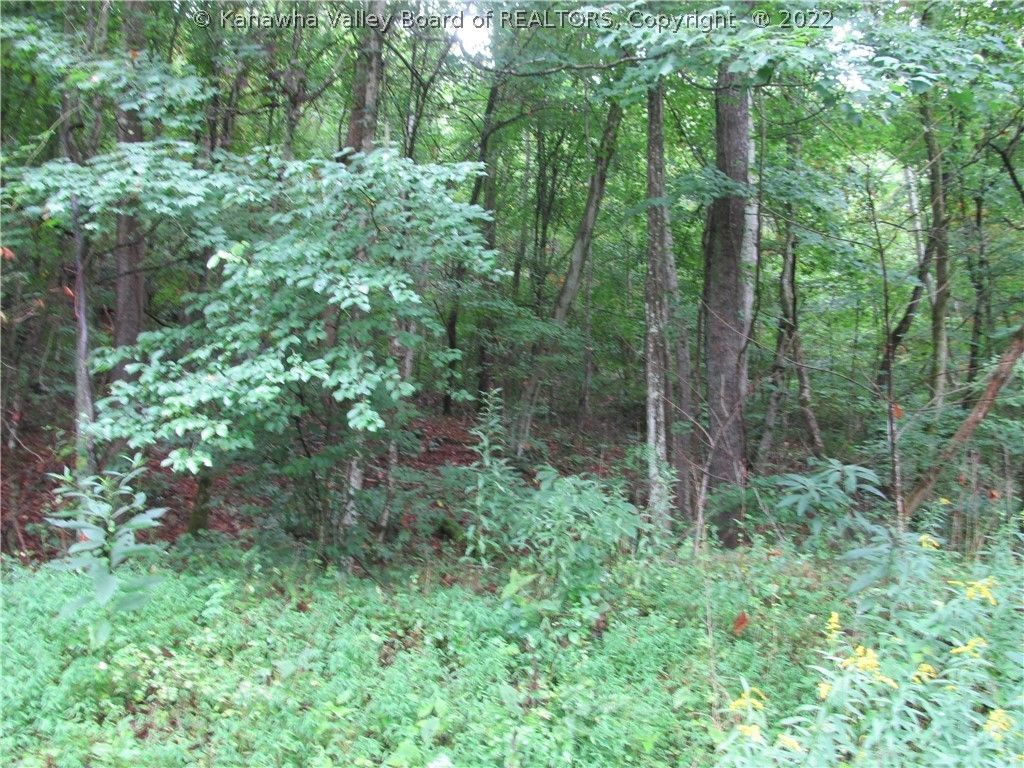 Poca River Rd S, Poca, WV 25159 | Trulia