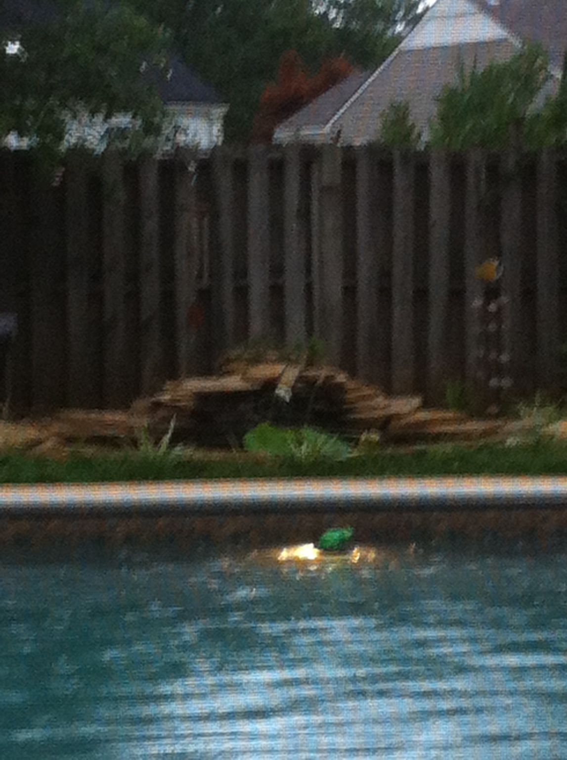 1405 Parsons St, Sheffield, AL 35660 - See Est. Value, Schools & More