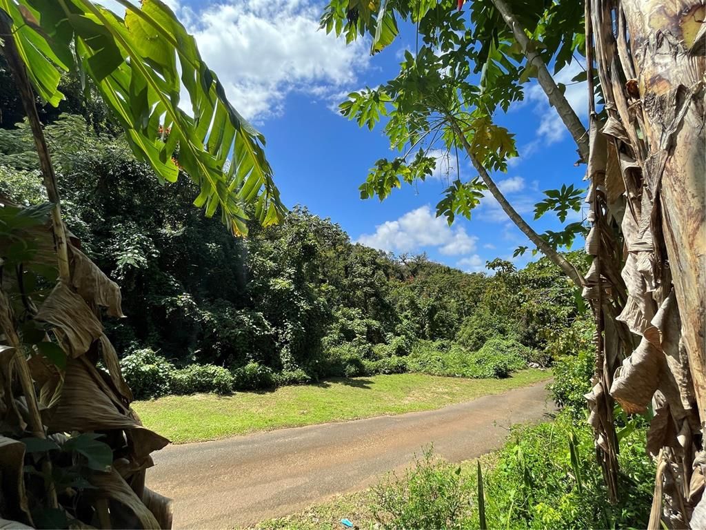 6 B, Vega Baja, PR 00693 | Trulia