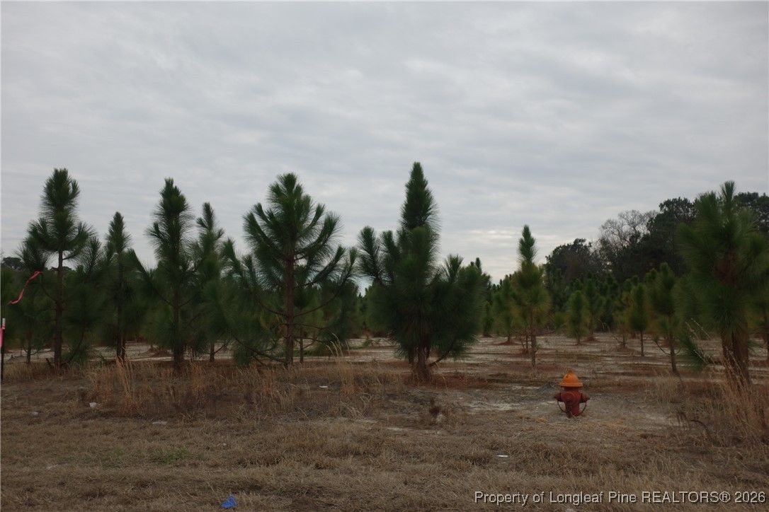 42 Stuarts Mill Rd, Fairmont, NC 28340 | MLS# 756451 - Trulia | Trulia