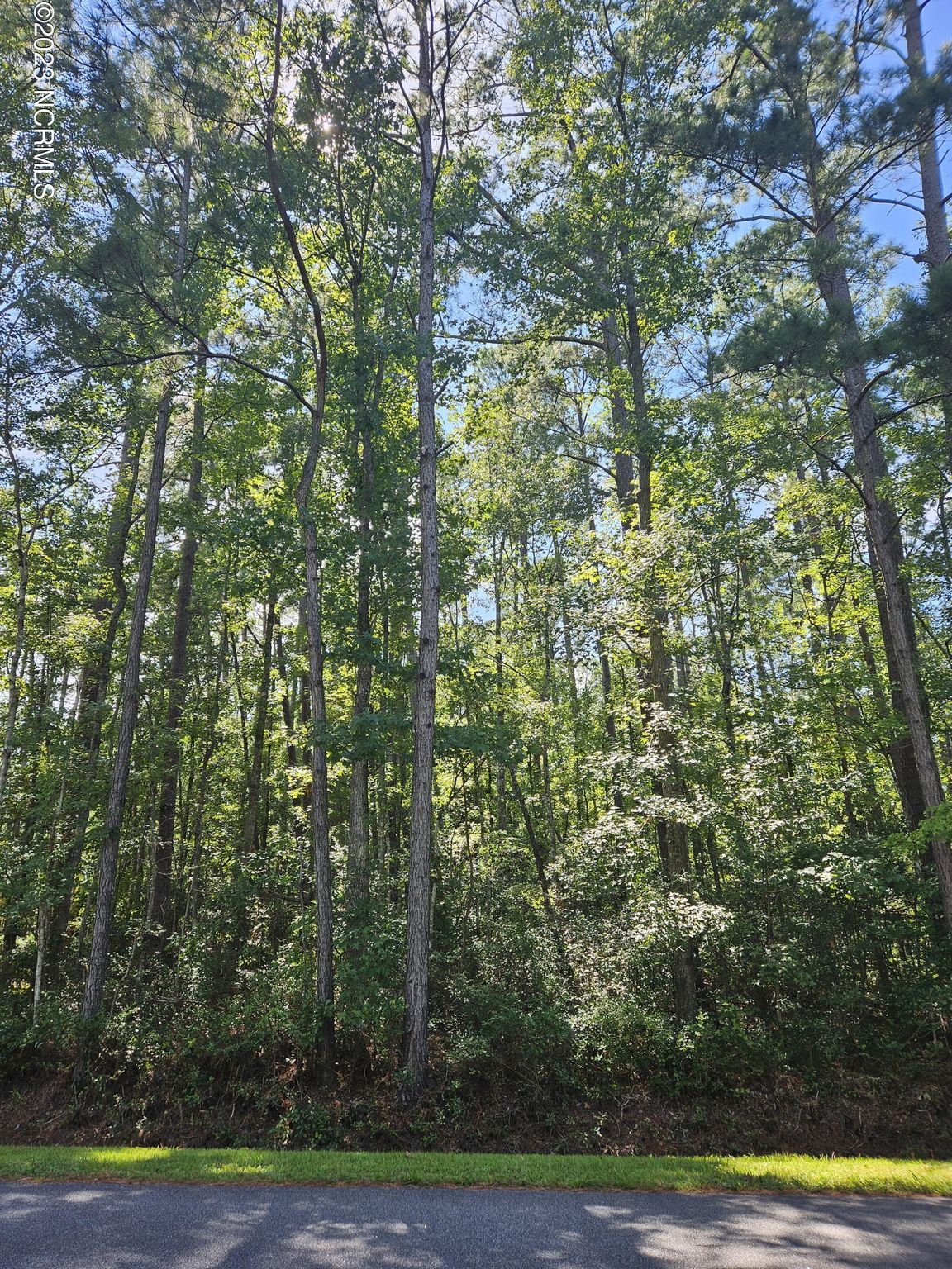 36 Pinewood Drive, Calabash, NC 28467 - See Est. Value, Schools & More