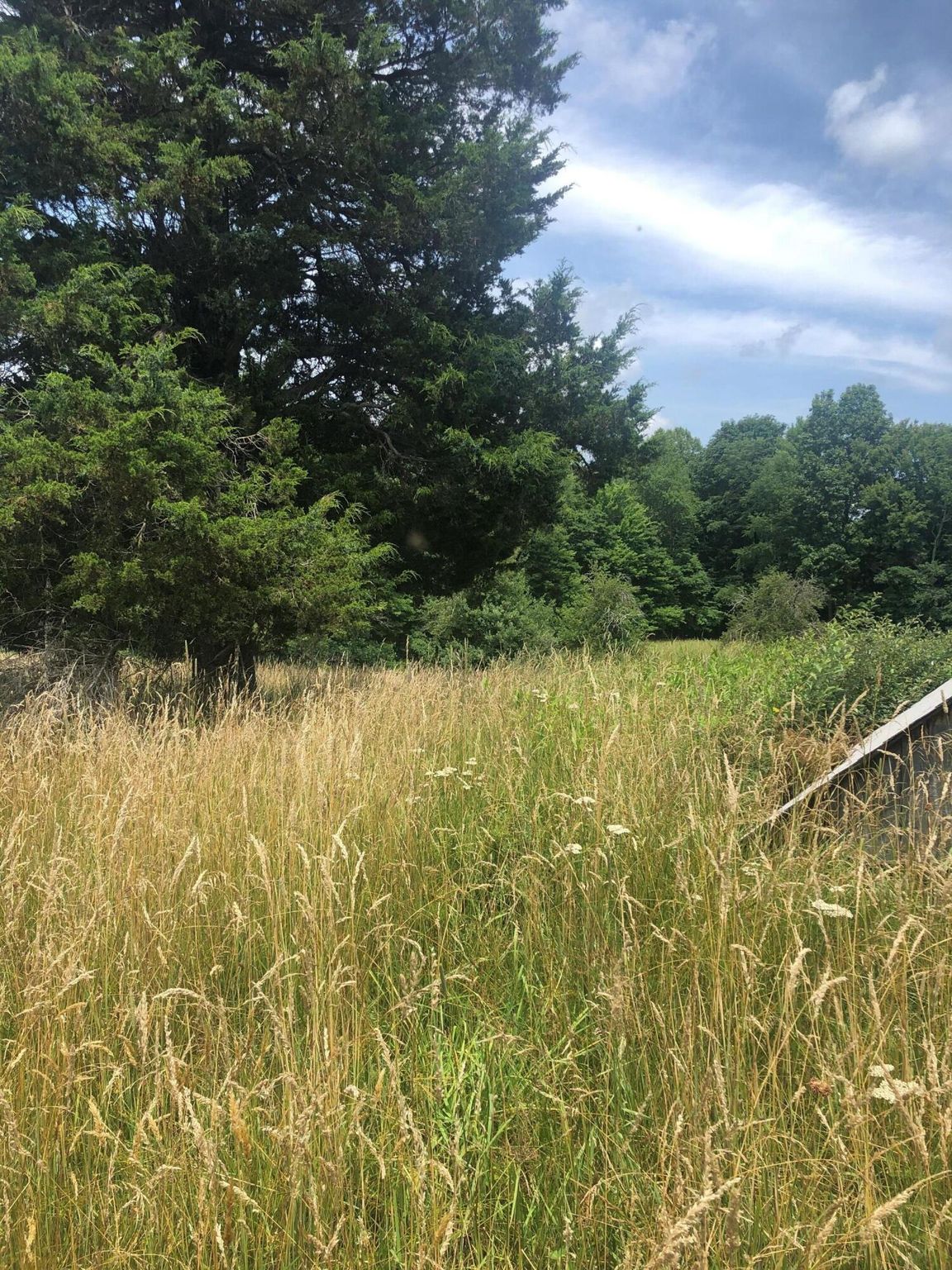 73 Smith Farm Rd, Layland, WV 25864 | Trulia