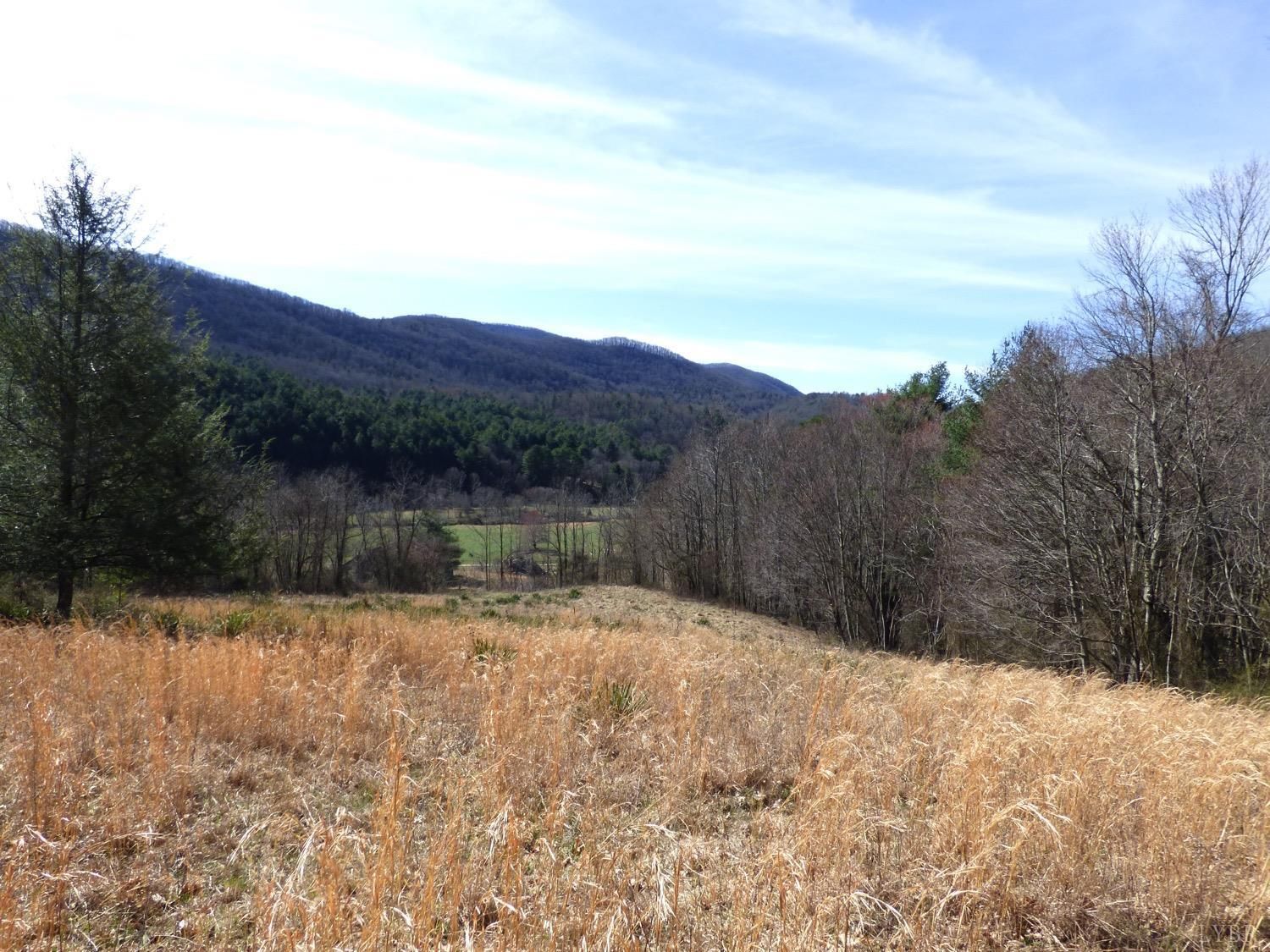 Alto Rd, Vesuvius, VA 24483 | Trulia