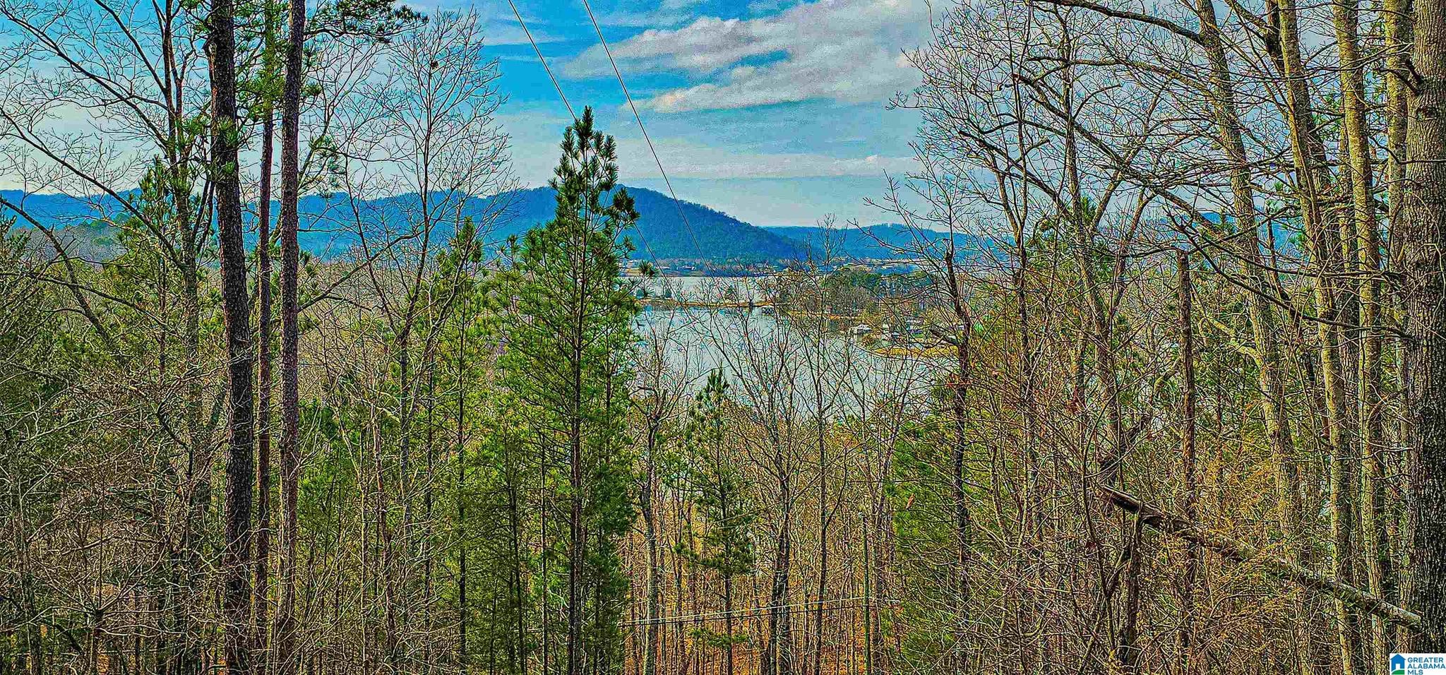 285 Mohawk Trl #NA, Ohatchee, AL 36271 - See Est. Value, Schools & More