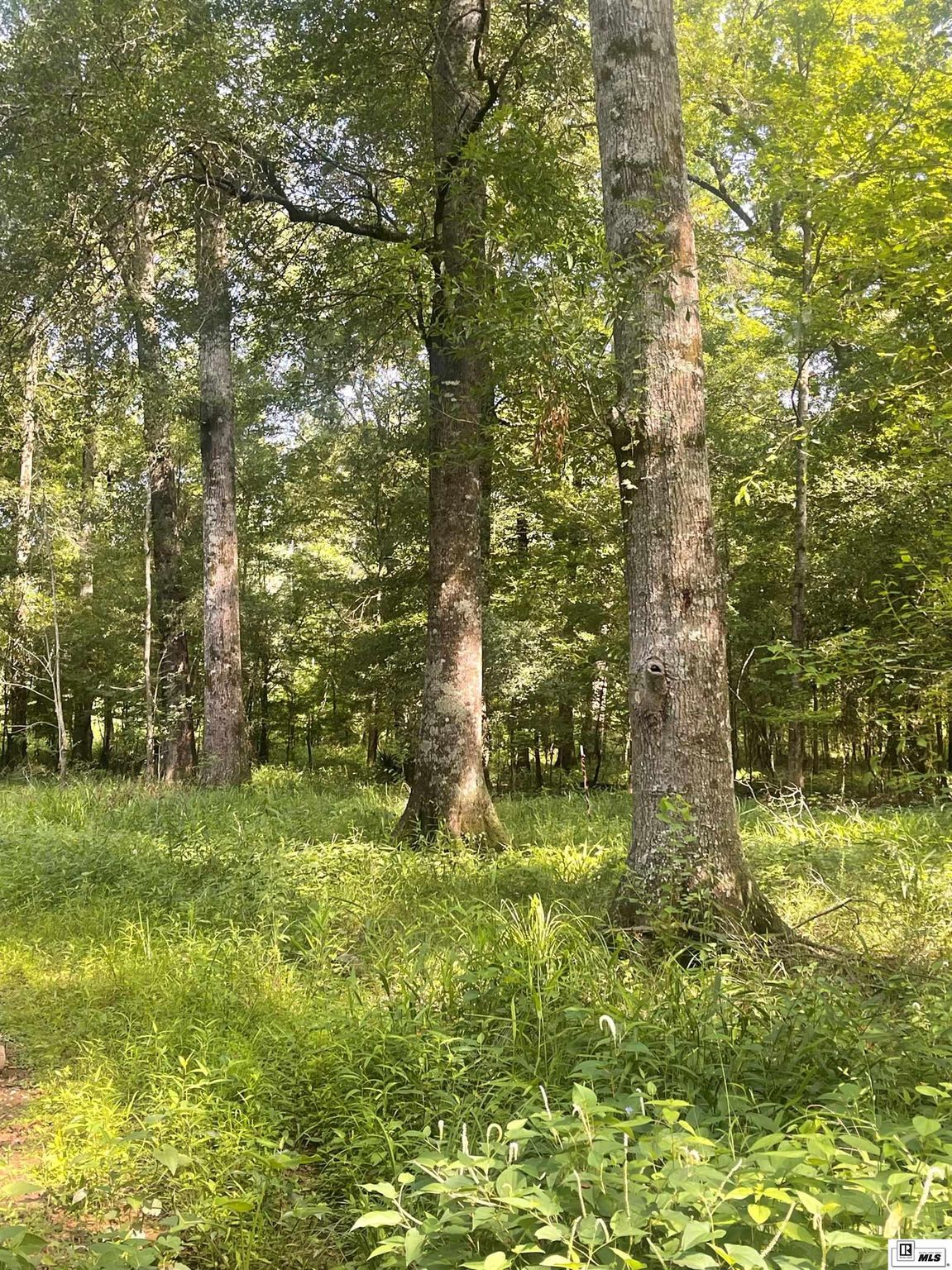 Norris Rd, Choudrant, LA 71227 | MLS# 206564 | Trulia