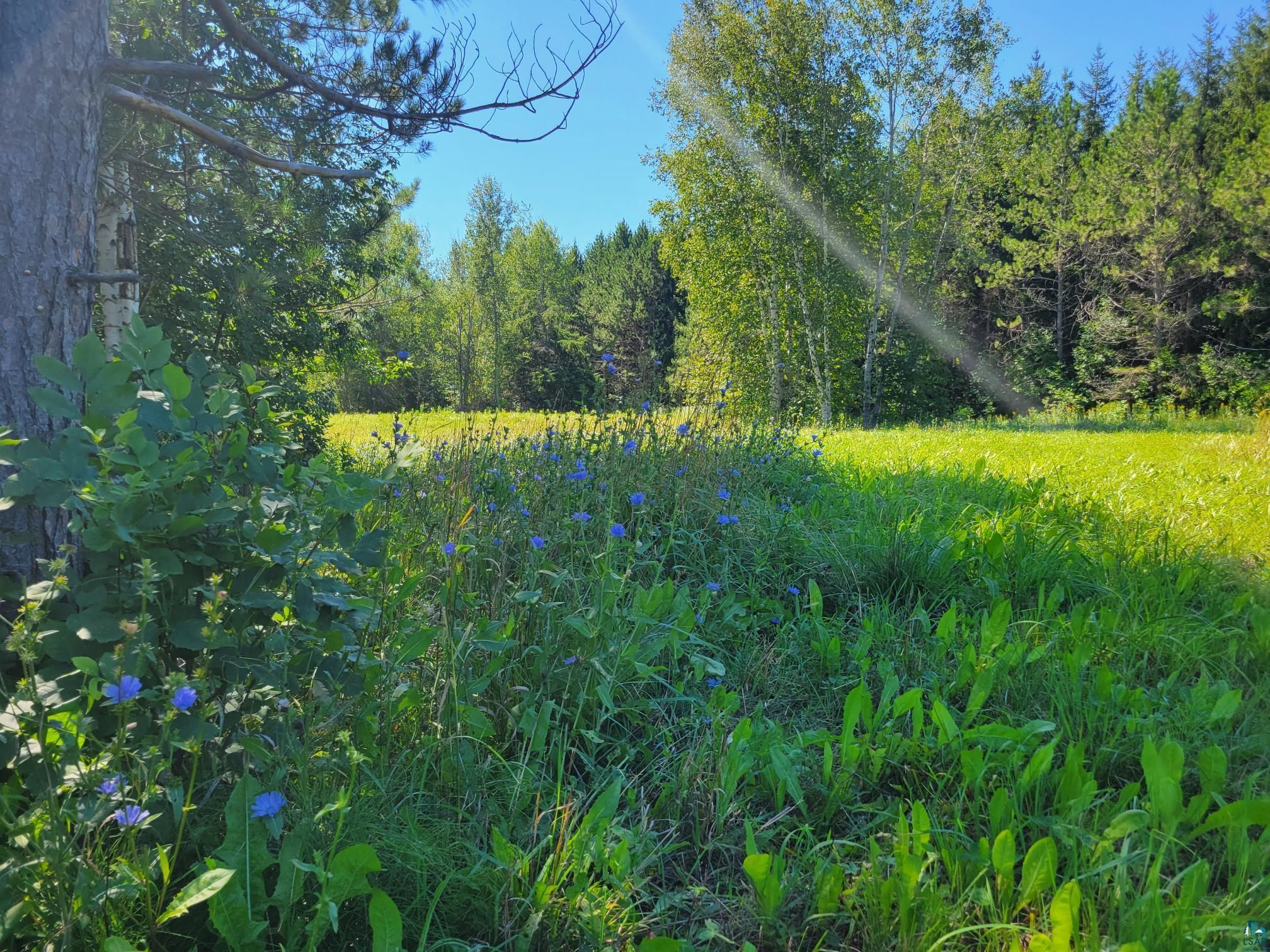 88 Eagle Bluff Dr #3-1665, Bayfield, WI 54814 | Trulia