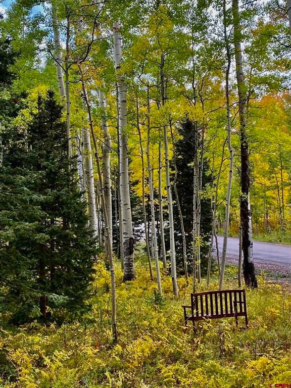 Fox Farm Road, Telluride, CO 81435 - See Est. Value, Schools & More
