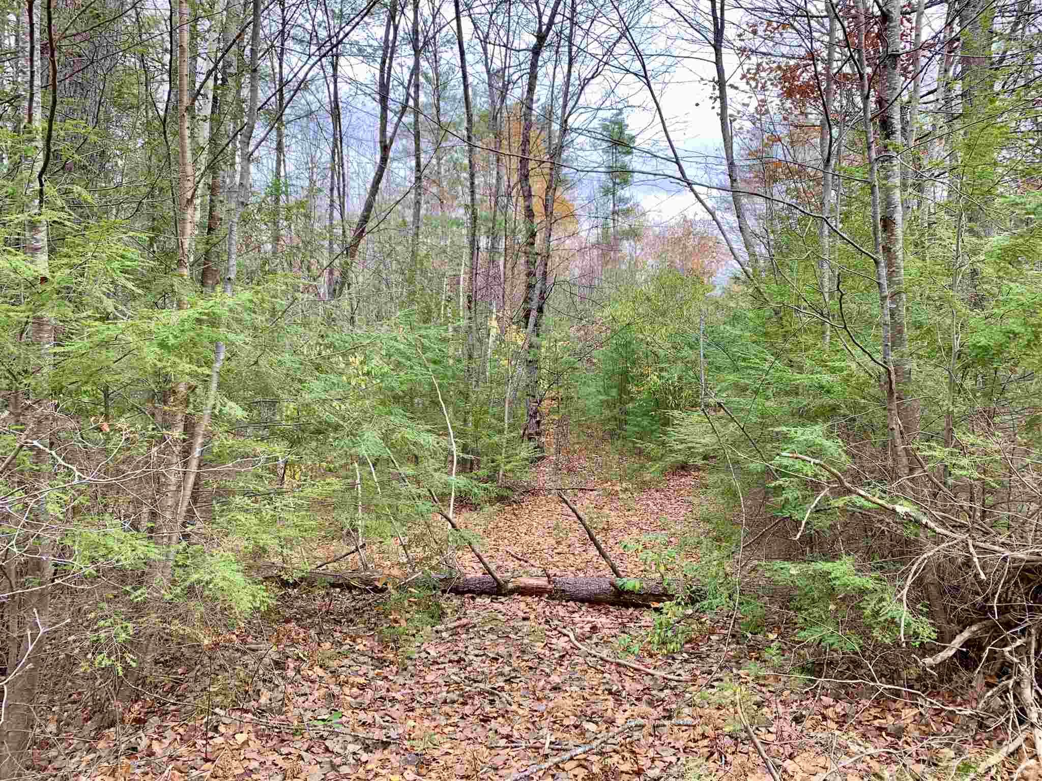 Mary Rowe Drive, Hillsborough, NH 03244 | Trulia