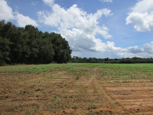 To Be Added, Oakfield, GA 31772 | Trulia