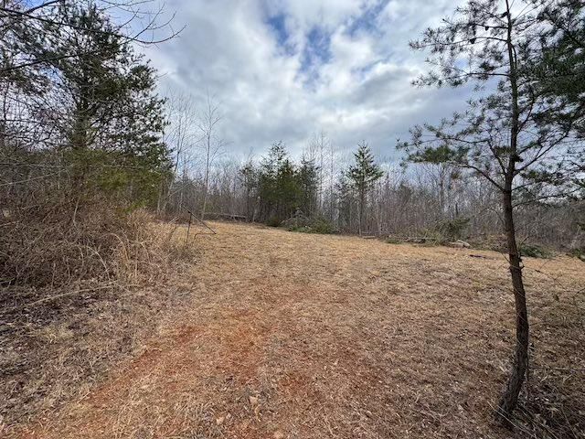 Brammer Spur Rd, Woolwine, VA 24185 - See Est. Value, Schools & More