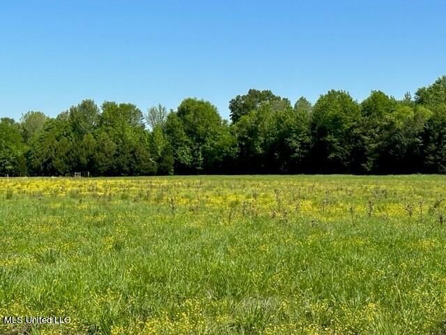 Cane Creek Rd #7, Flora, MS 39071 | Trulia