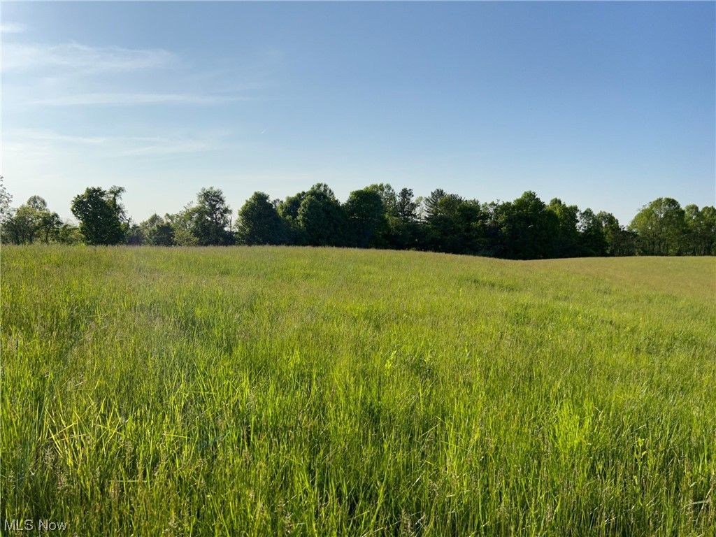 S State Route 555, Chesterhill, OH 43728 - See Est. Value, Schools & More