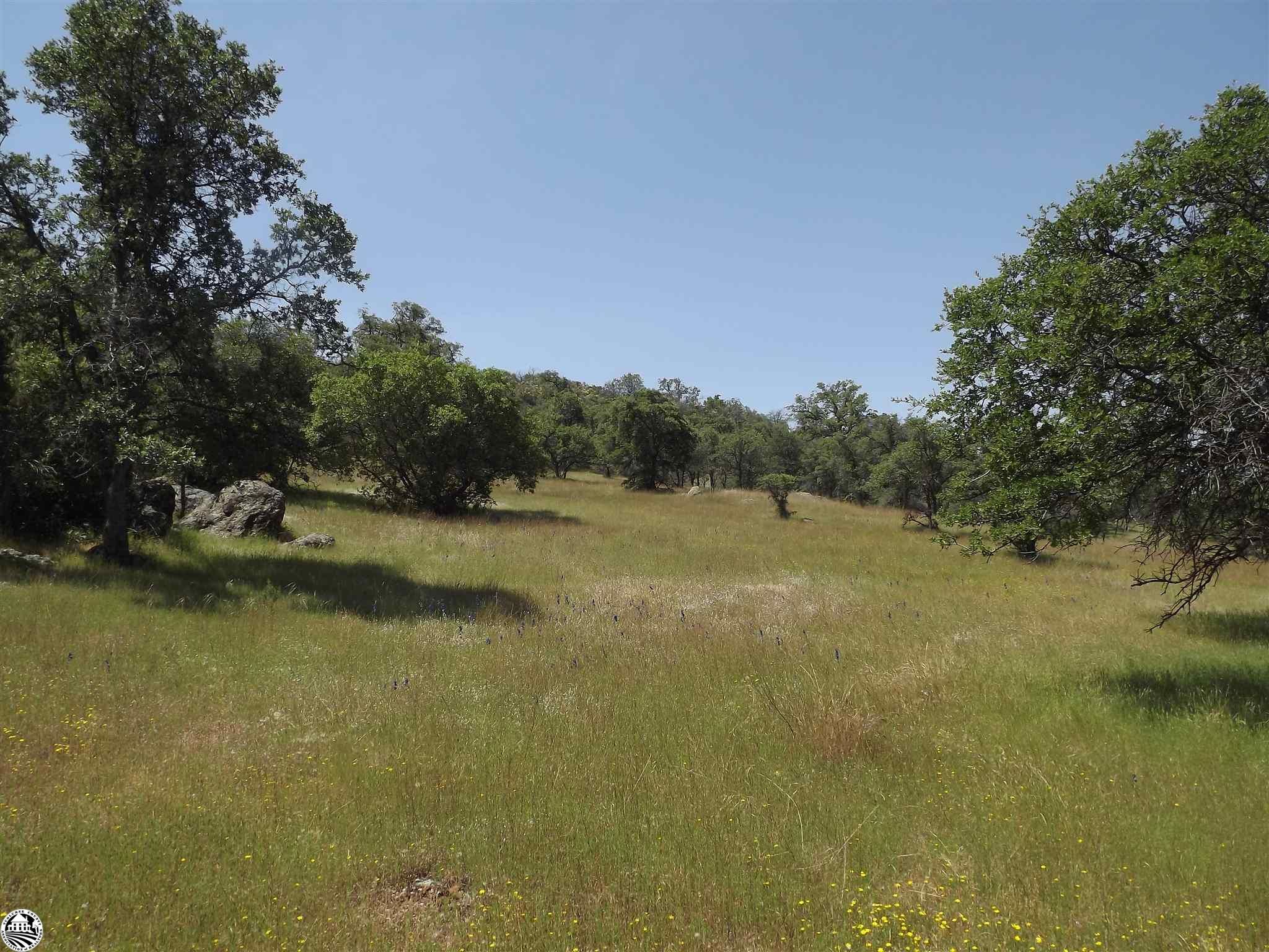 14675 Moccasin Ranch Rd #13, Moccasin, CA 95347 | Trulia