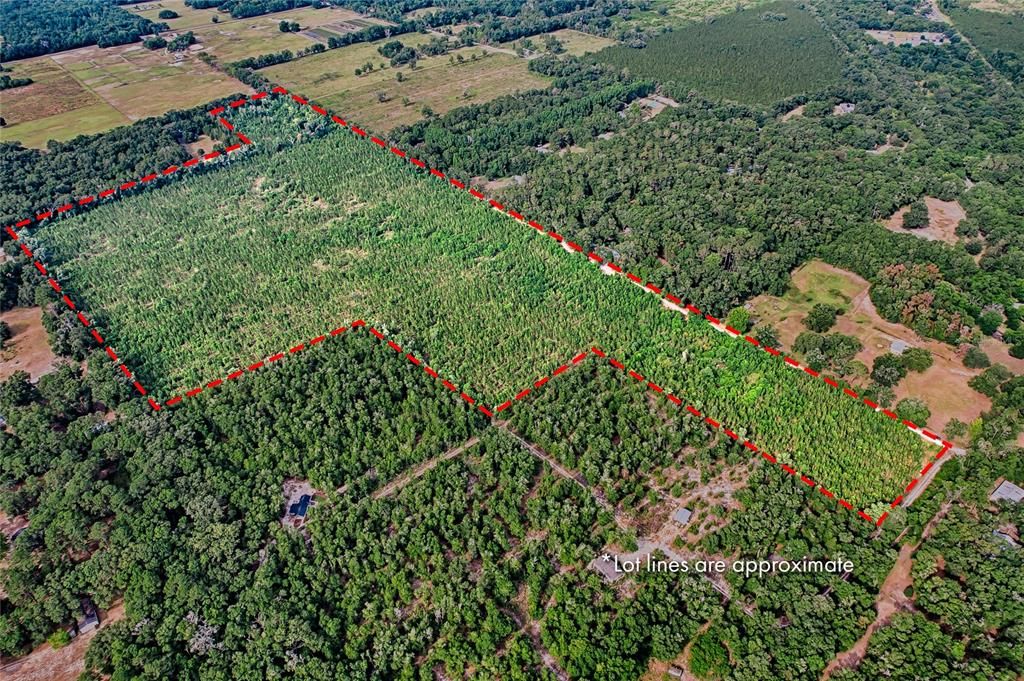 SW 120th Ave, Archer, FL 32618 Lot/Land for Sale | MLS# GC522813