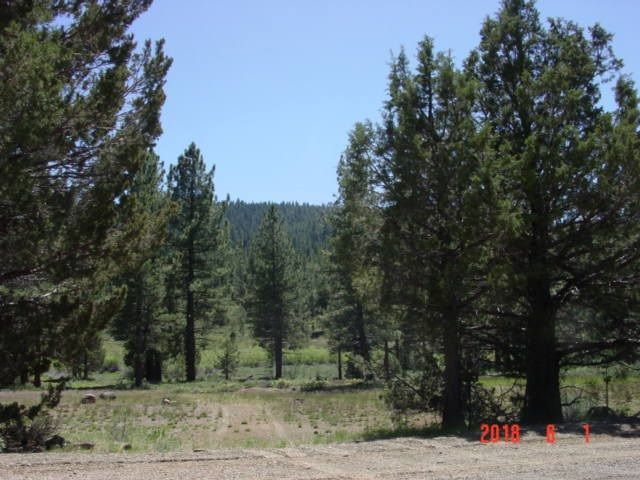 10665 Dixie Valley Rd, Chilcoot, CA 96105 - See Est. Value, Schools & More