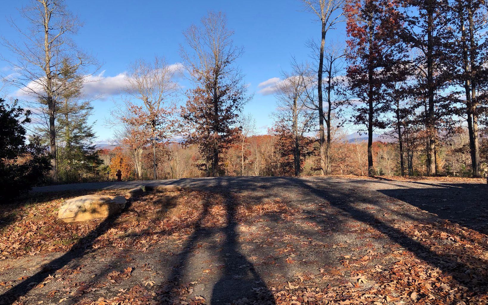 14 Brannon Nix Spur, Blairsville, GA 30512 - See Est. Value, Schools & More