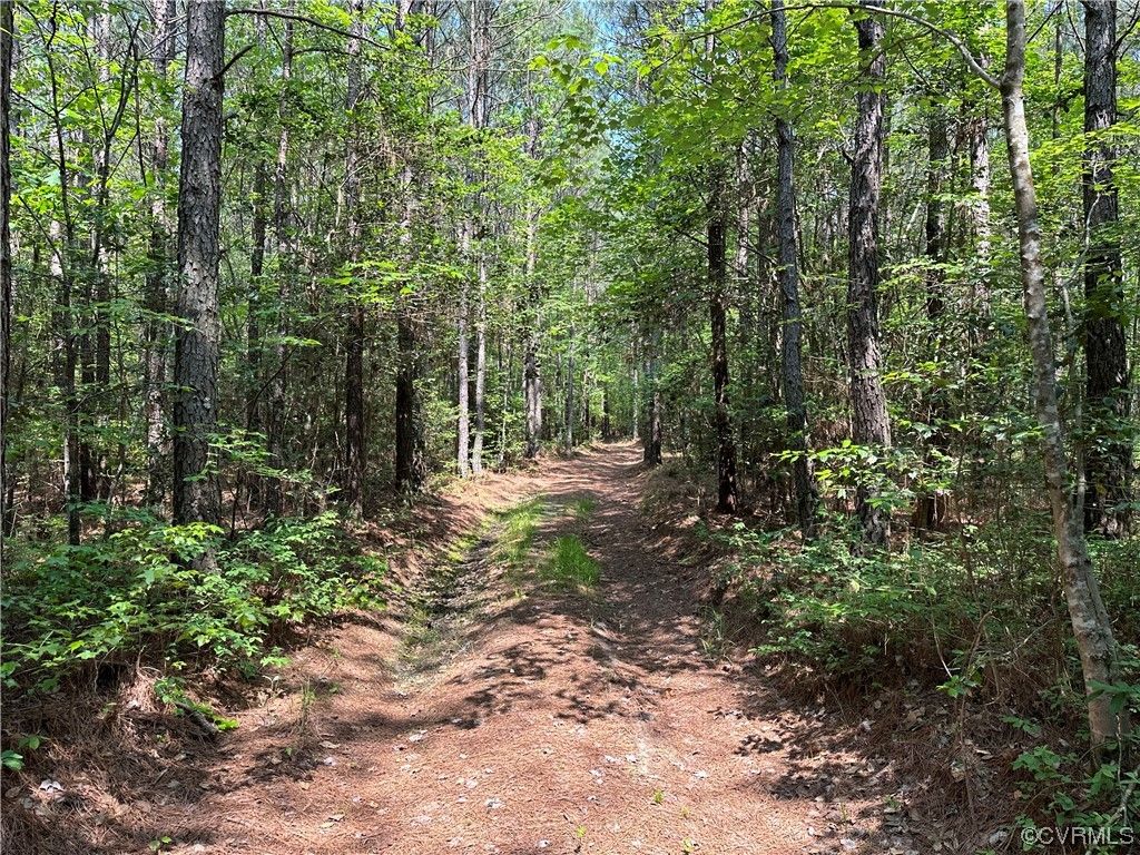 17903 Wards Creek Rd, Disputanta, VA 23842 | Trulia