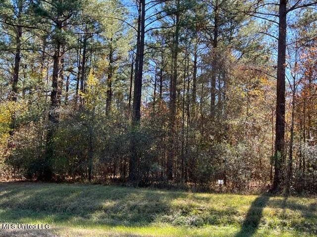 5413 Williamson Rd, Clinton, MS 39056 | Trulia