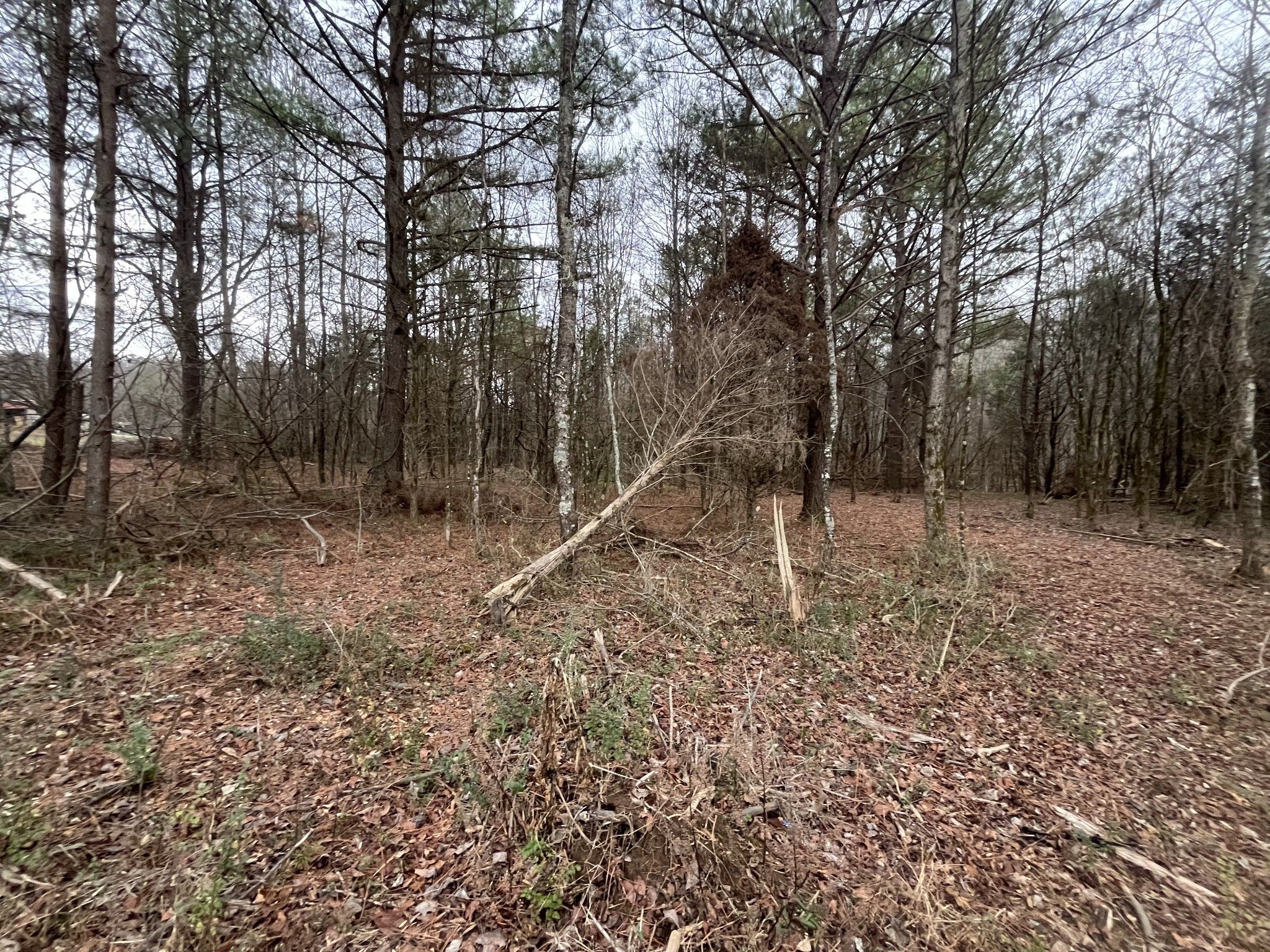 Kinniard Rd, Cookeville, TN 38501 - See Est. Value, Schools & More