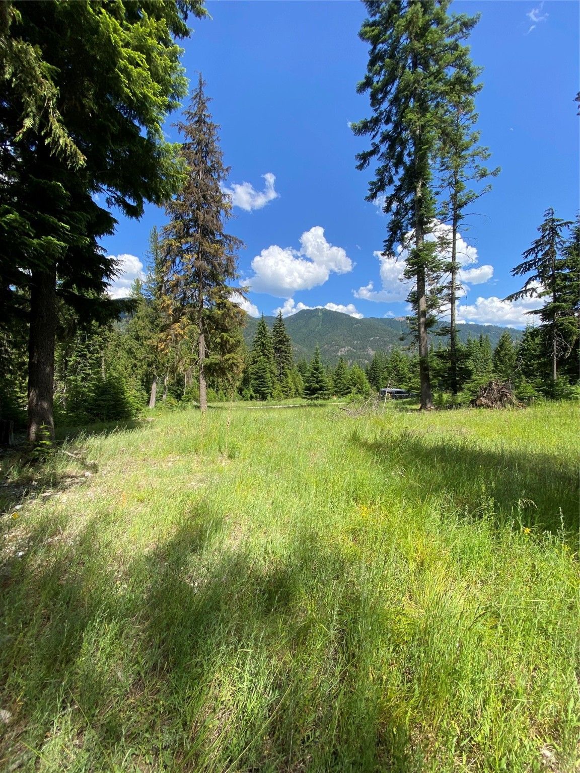 3767 Westshore Dr, Troy, MT 59935 | Trulia