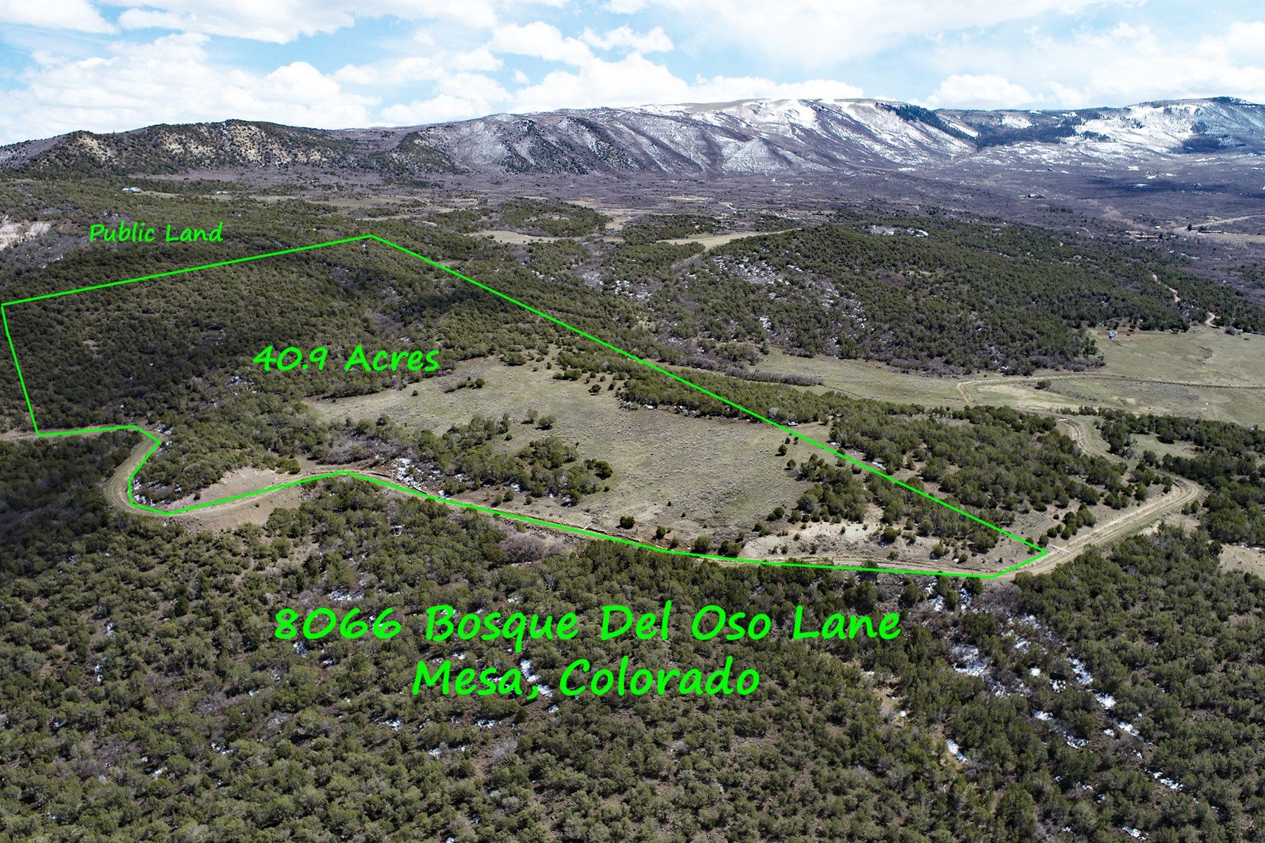 8066 Bosque Del Oso Ln, Mesa, CO 81643 | Trulia