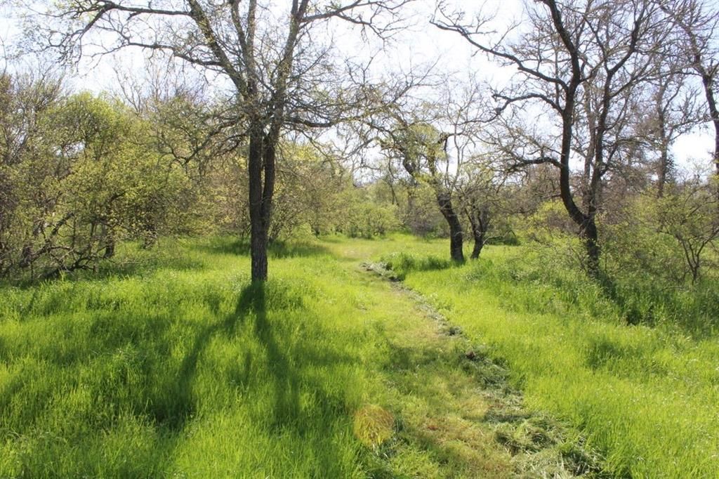 358 Elm Forest Loop, Cedar Creek, TX 78612 | MLS# 1160877 | Trulia