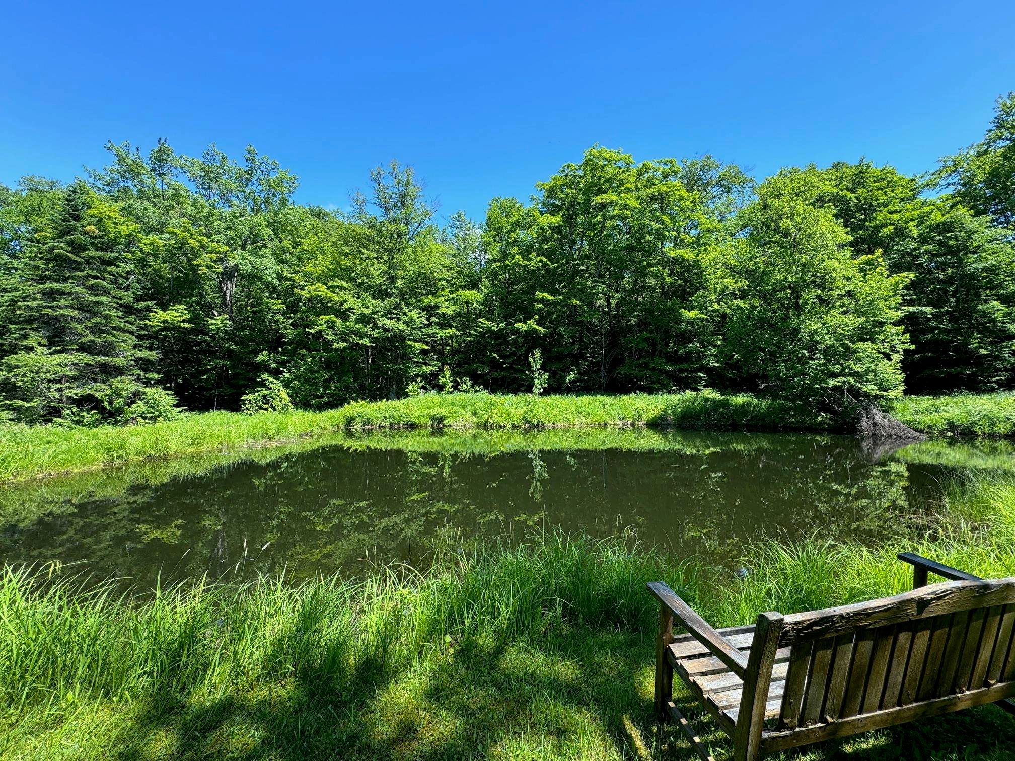 448 Eastern Avenue, East Hardwick, VT 05836 - See Est. Value, Schools ...