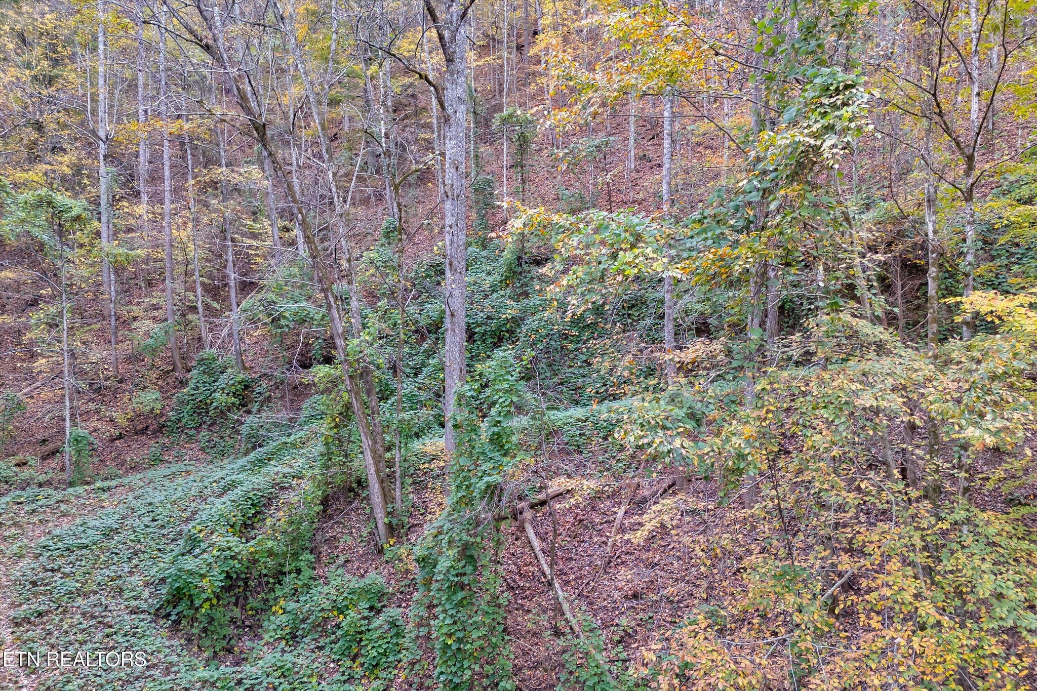Lots 1 2 3 Timber Grove Rd, Sevierville, TN 37862 | MLS# 1322484 | Trulia