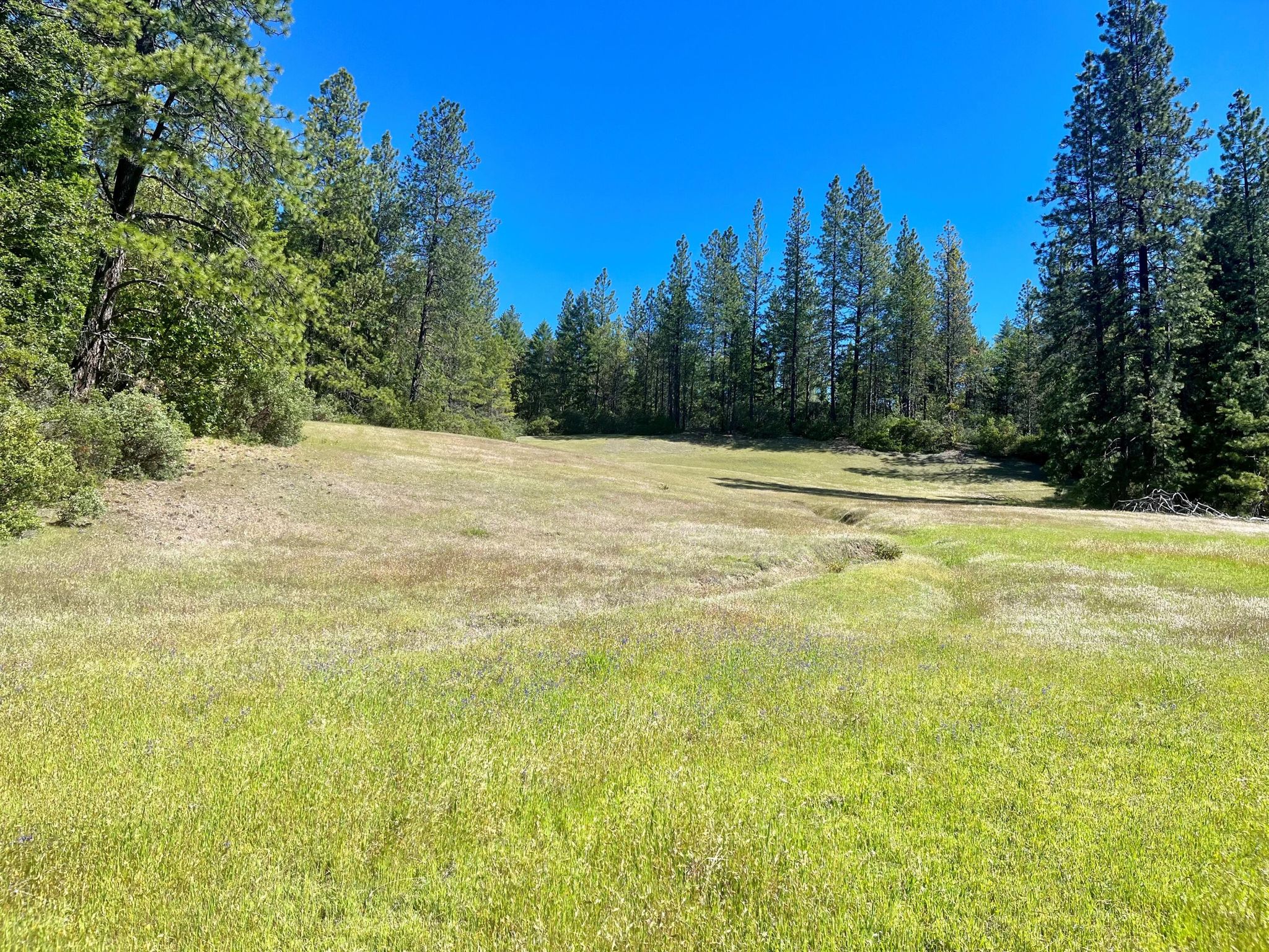 4511 Hennessey Rd, Burnt Ranch, CA 95527 | MLS# 261946 | Trulia