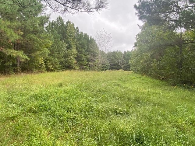 466 Clements Rd, La Crosse, VA 23950 - See Est. Value, Schools & More