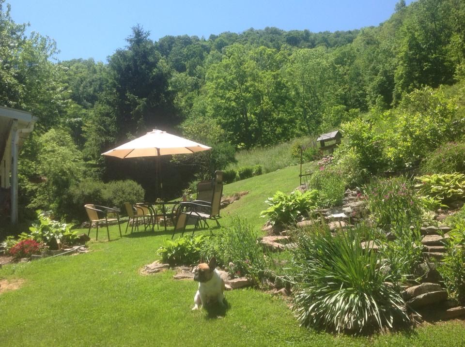 100 King Fisher Rd, Hendricks, WV 26271 - See Est. Value, Schools & More