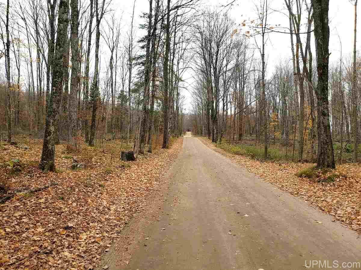 Camp Nine Rd, Arnold, MI 49877 - See Est. Value, Schools & More