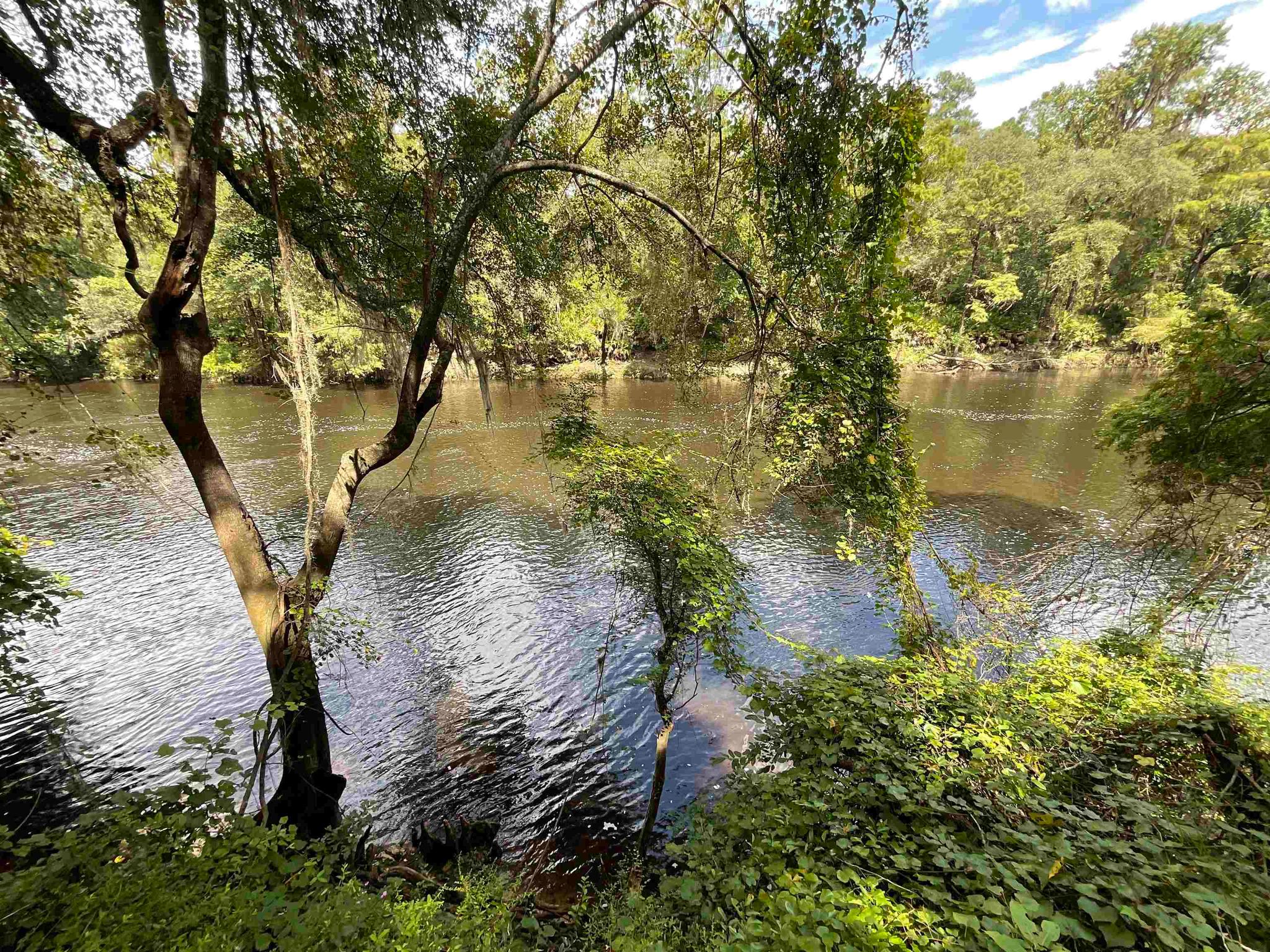 Vacant Ne Withla Bluffs Way, Lee, FL 32059 - See Est. Value, Schools & More