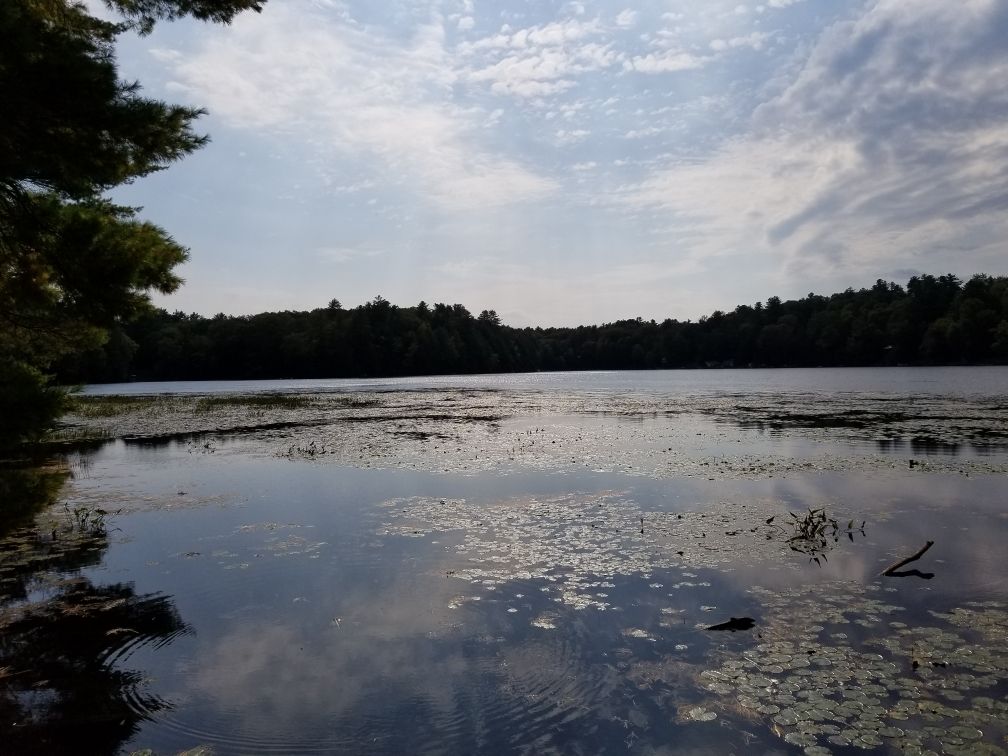 Copeland pond rd on, Fort ann, NY 12827 | Trulia