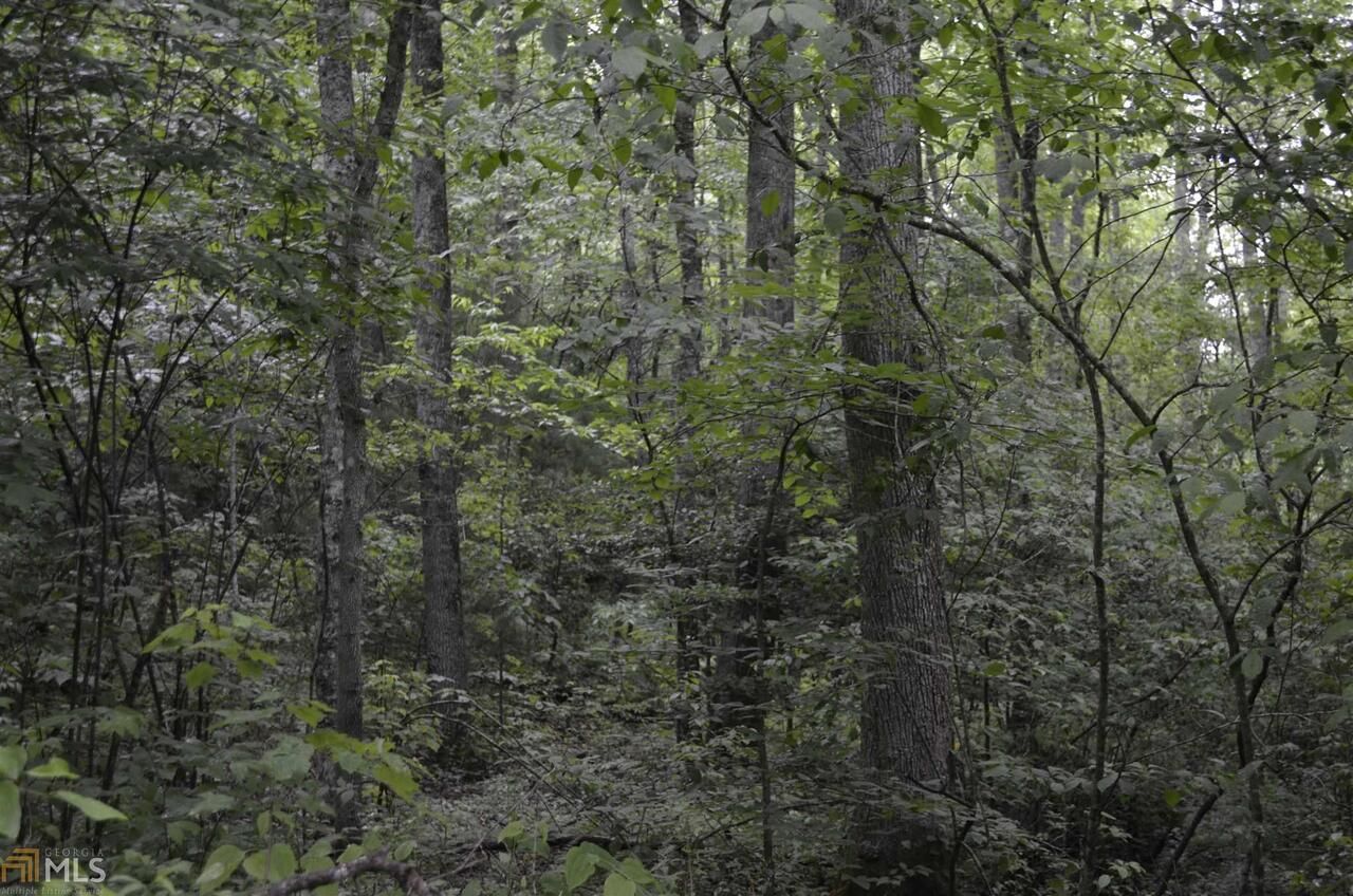 Craigtown Rd, Ellijay, GA 30540 | Trulia