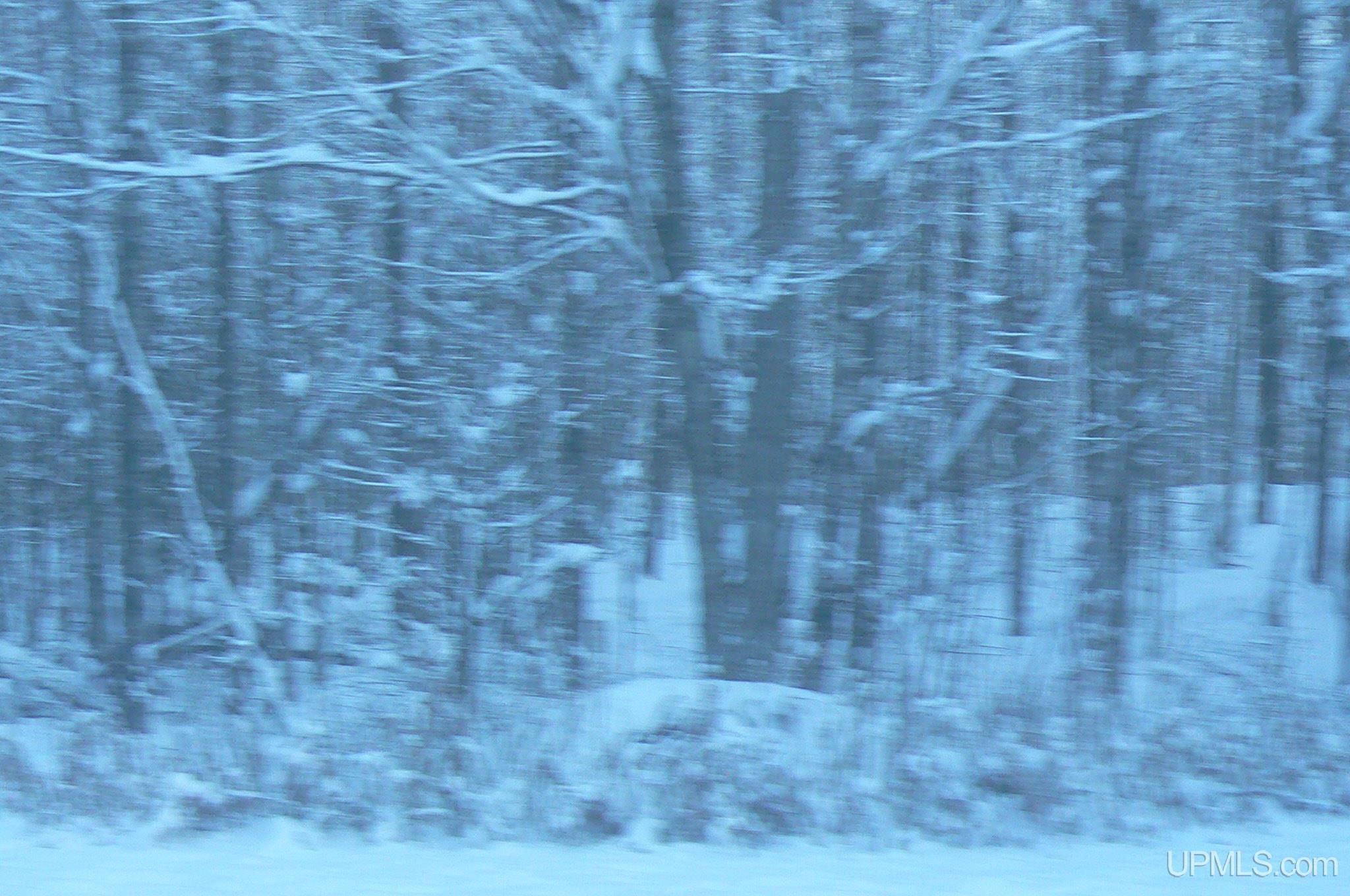 Sipila, Trenary, MI 49891 | Trulia