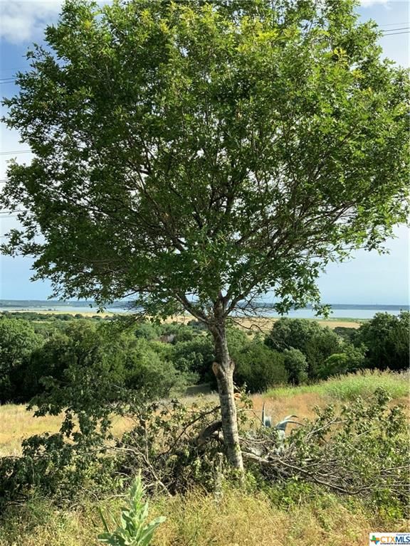 9210 FM 2484, Salado, TX 76571 - See Est. Value, Schools & More