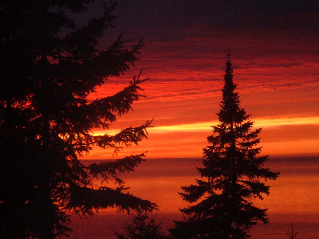 88045 Bark Point Rd, Herbster, WI 54844 - See Est. Value, Schools & More