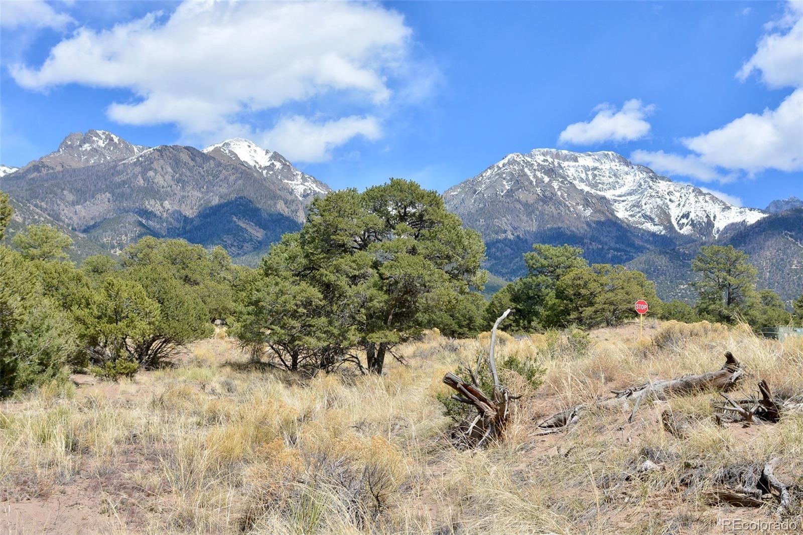 361 Camino Baca Grande, Crestone, CO 81131 | Trulia