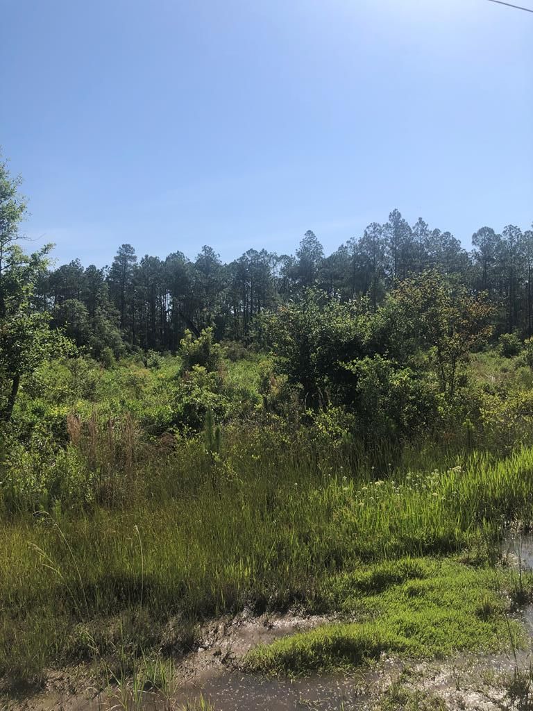 4136 Highway 125 N, Nashville, GA 31639 - See Est. Value, Schools & More