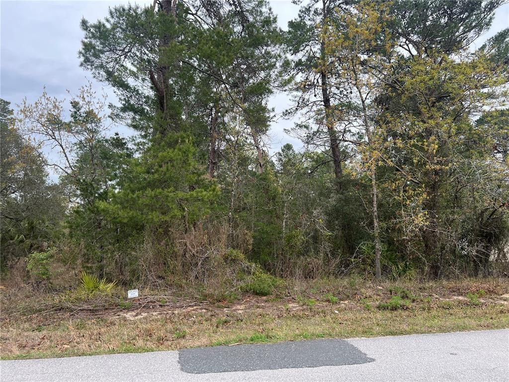 34 Lone Pine St #3, Homosassa, FL 34446 - See Est. Value, Schools & More