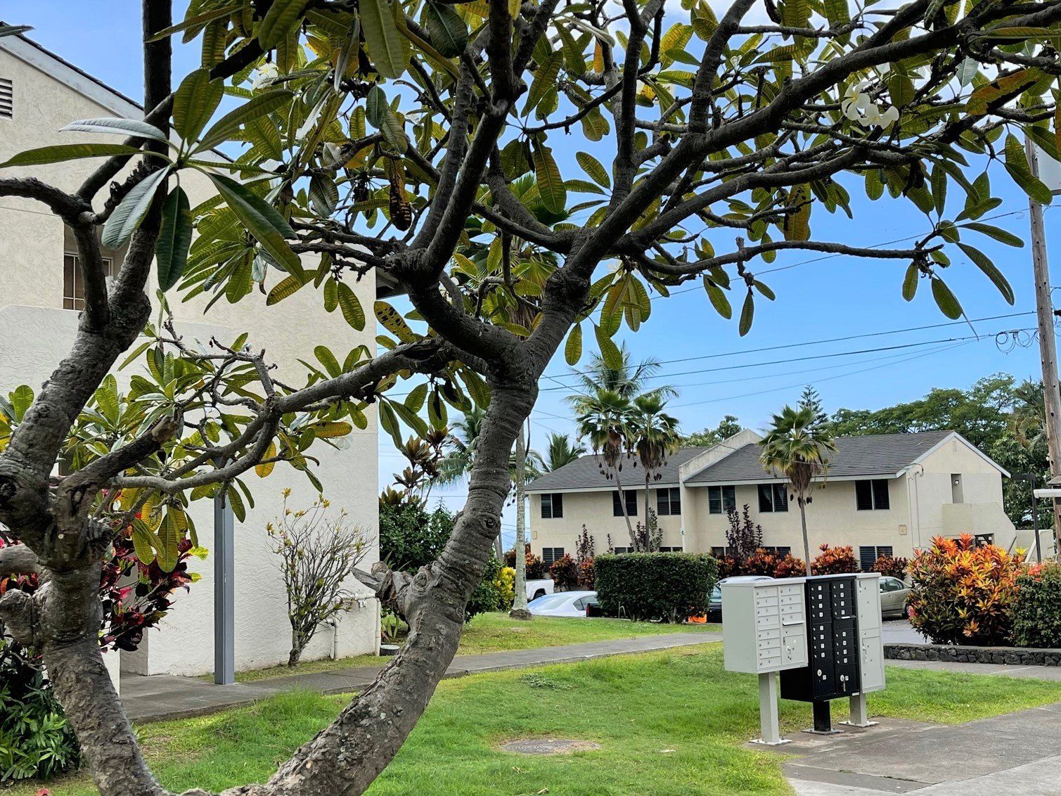 Jack Hall Kona Memorial Housing - Kailua Kona, HI - Trulia | Trulia