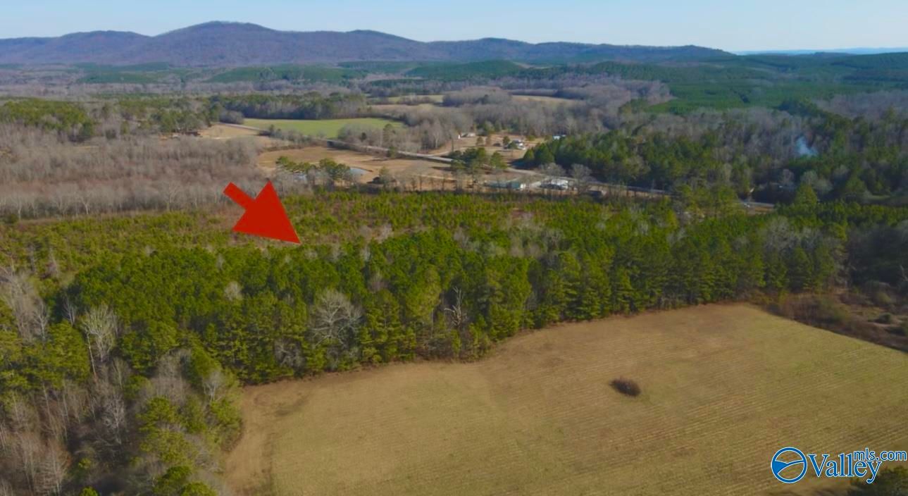 State Highway 68 E, Gaylesville, AL 35973 - See Est. Value, Schools & More