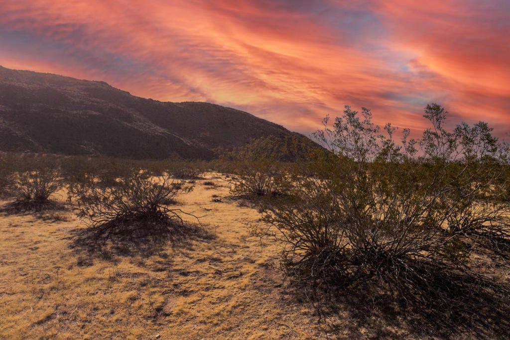 0 Sullivan Rd, Joshua Tree, CA 92252 | MLS# 219112767DA | Trulia