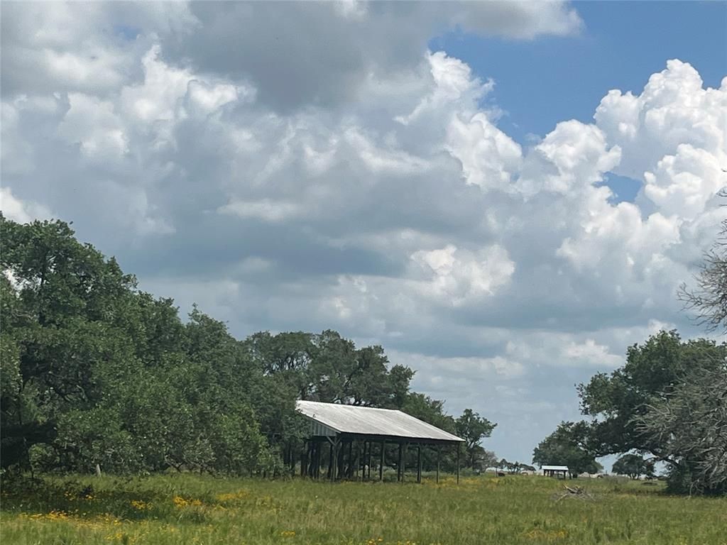 1288 Forest Oaks Dr, Altair, TX 77412 | MLS# 8001447 | Trulia