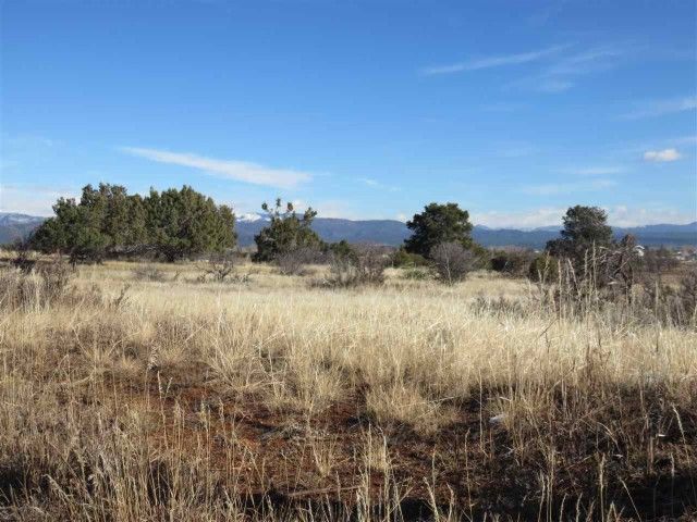 1873 County Road 220, Durango, CO 81303 - See Est. Value, Schools & More